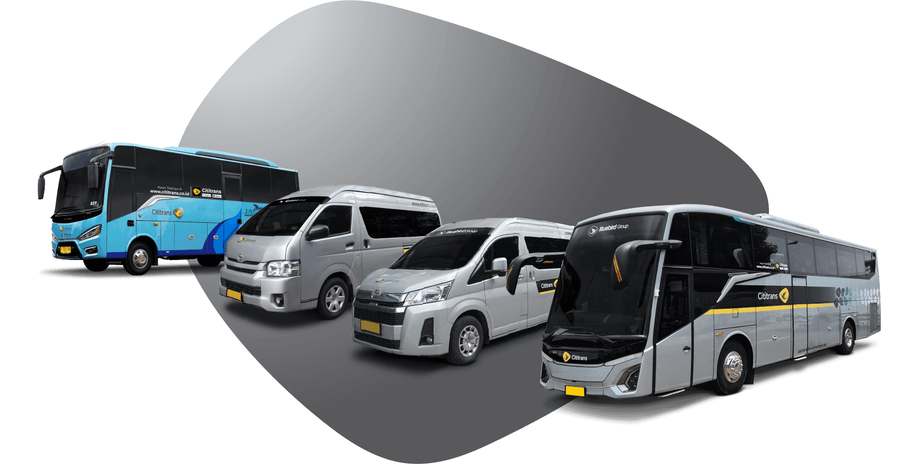 Cititrans: Pioneer Travel Executive Jakarta - Bandung